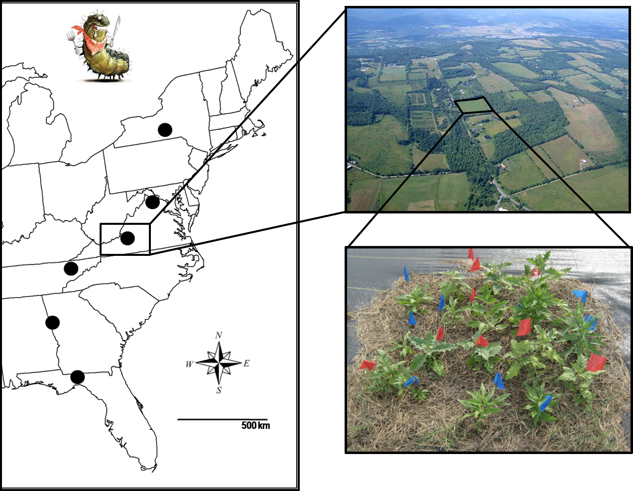 Tania Kim – Gratton Lab